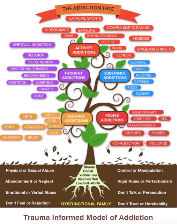 NEWSTART: Transform your health, inside and out